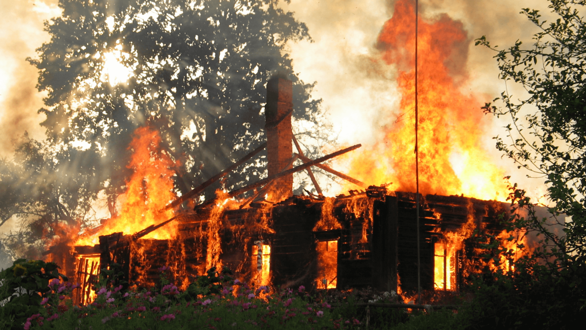 Designing for disaster: How to build fire-resilient homes - Under the ...