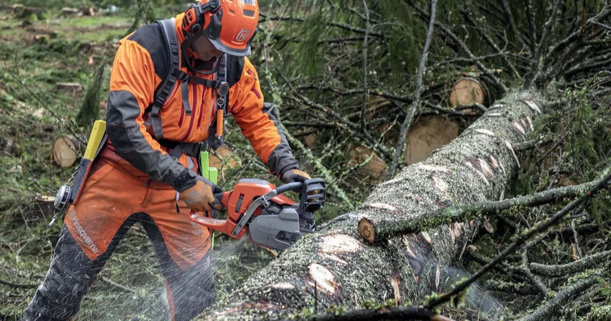 STIHL vs Husqvarna chainsaw: Specs, power, and price breakdown